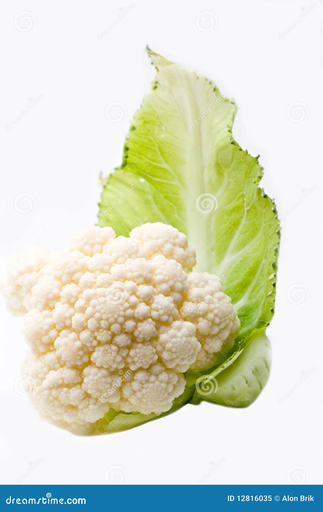 Hoja Verde Vegetal De La Col De La Coliflor Aislada Imagen de archivo ...