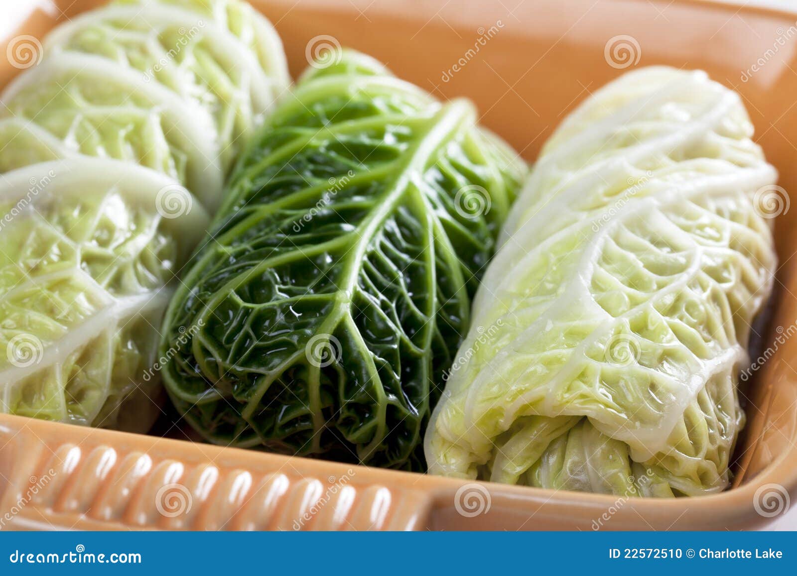 Hojas de la col rellena foto de archivo. Imagen de hojas - 22572510