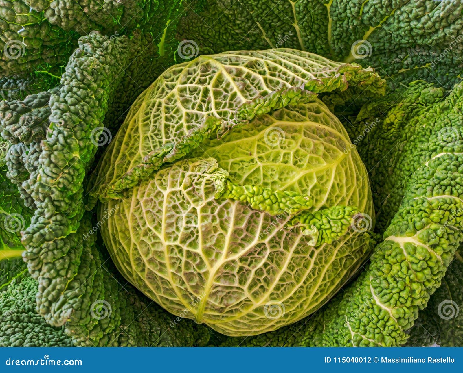 Hojas De La Col De Col Rizada Y Primer Principal Foto de archivo ...
