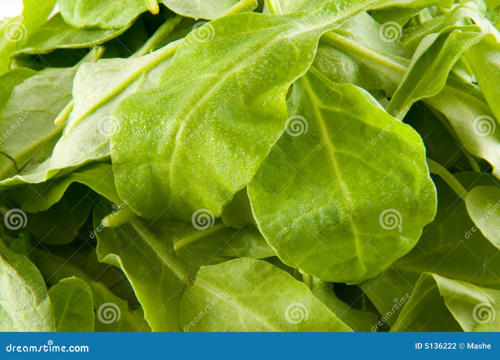 Hojas de la espinaca foto de archivo. Imagen de salud - 5136222