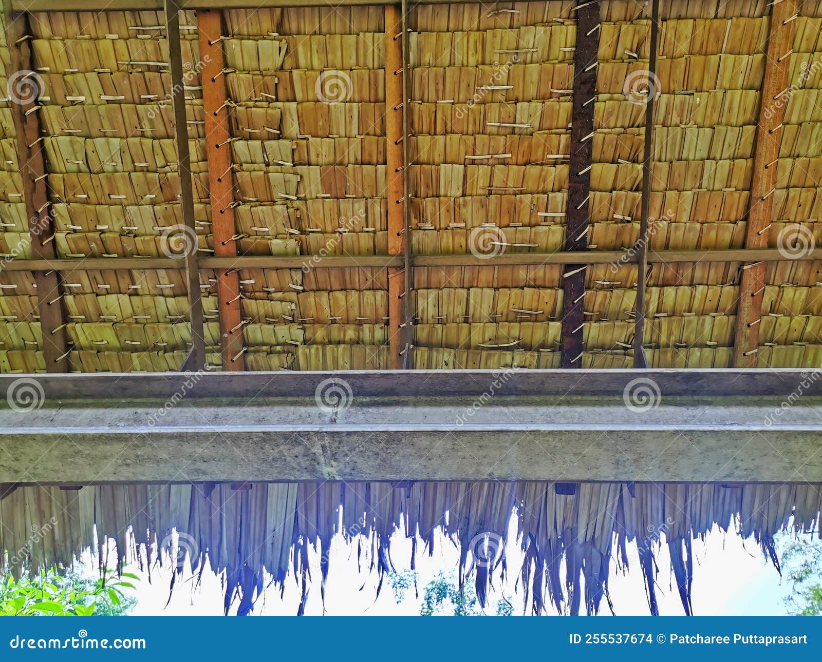 Hojas De La Naturaleza Cuyas Hojas Se Secan Y Se Utilizan Para Tejer Y Decorar A Prueba De