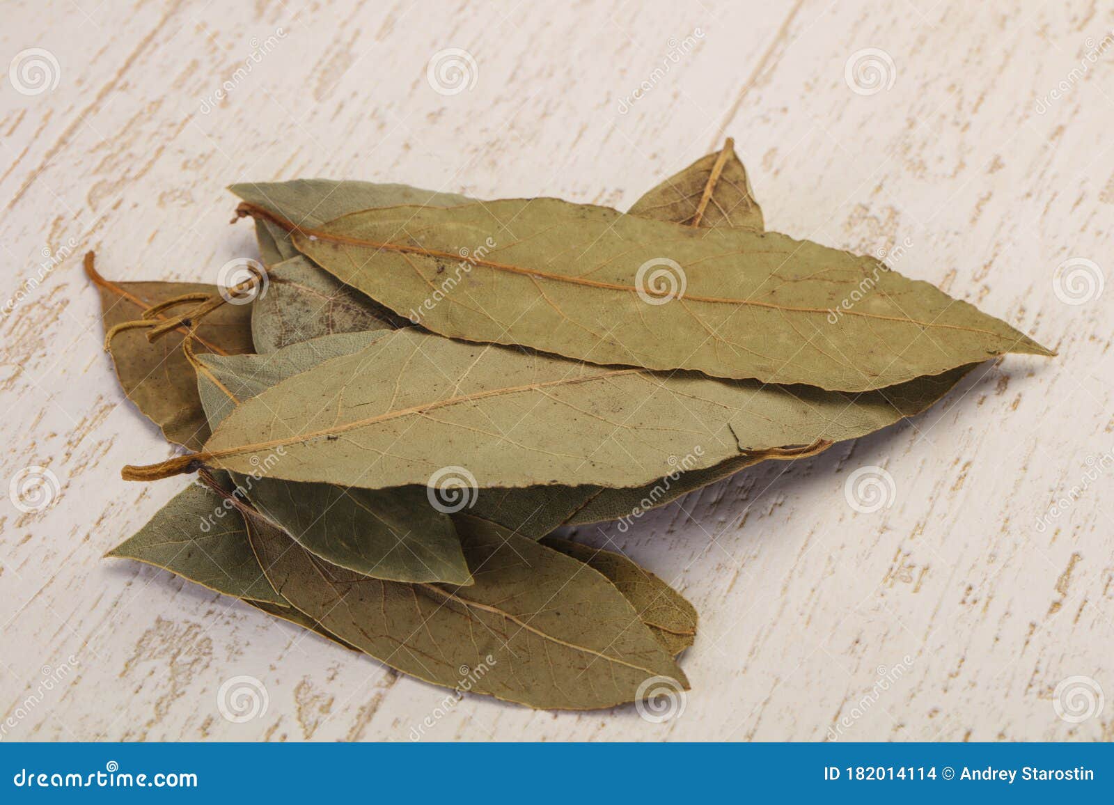 Hojas de laurel secas foto de archivo. Imagen de seco - 182014114