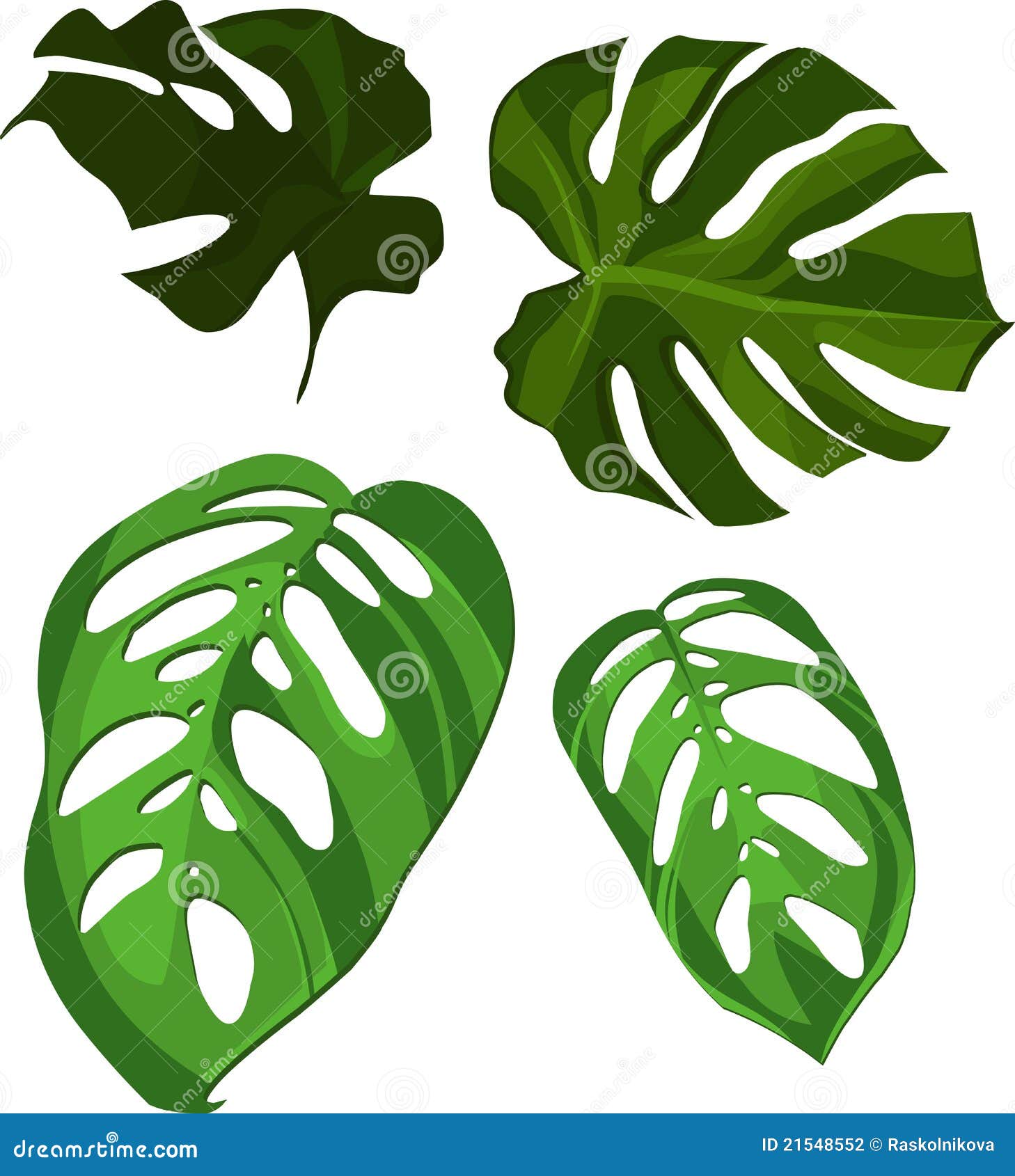 Hojas De Monstera Del Vector Ilustración del Vector - Ilustración de ...