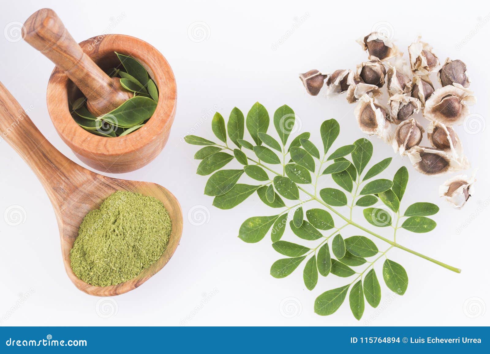 Hojas De Moringa, Semillas Y Polvo - Moringa Oleifera Foto de archivo ...