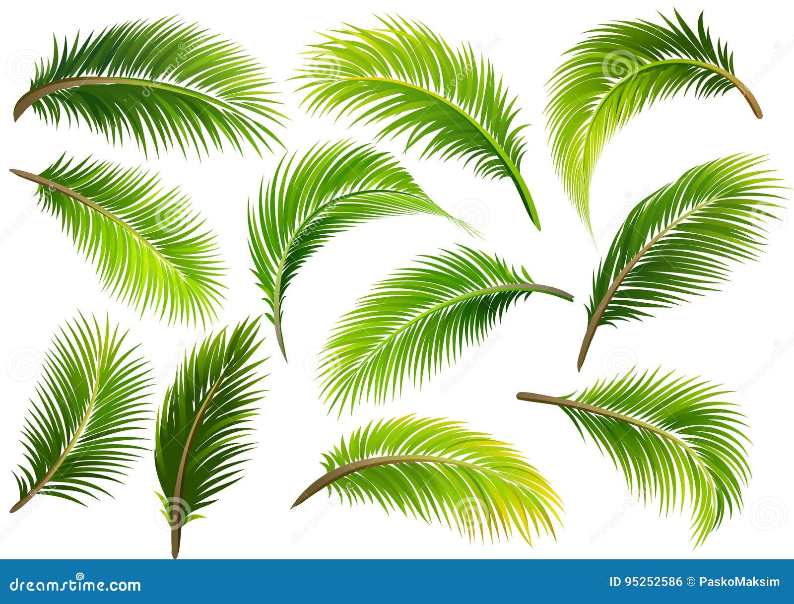 Hojas de palma Vector ilustración del vector. Ilustración de aislado ...