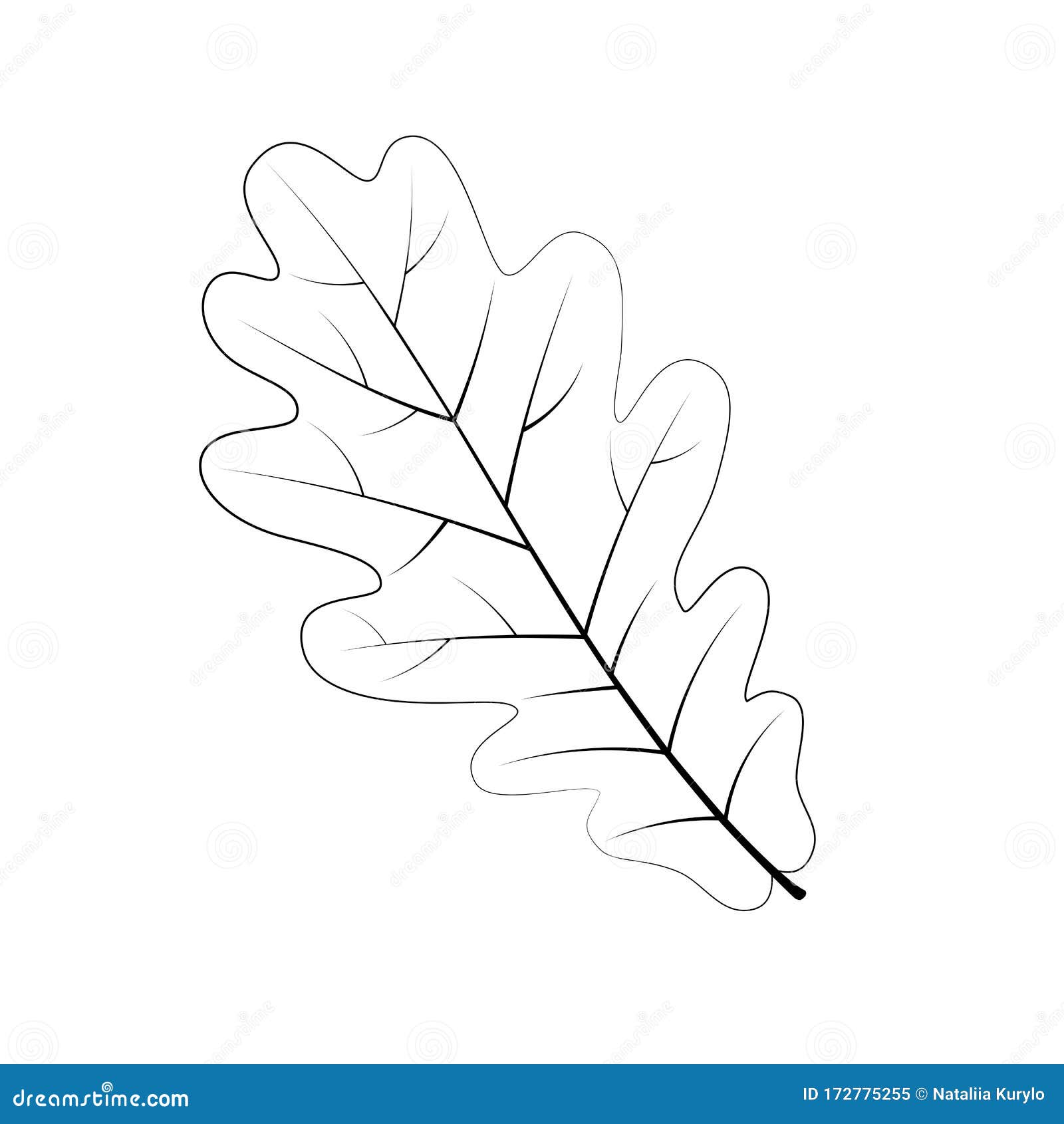 Hojas De Roble Dibujadas a Mano, Boceto Para Colorear, Vector ...