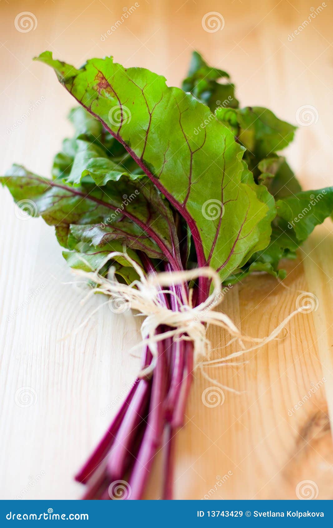 Hojas del cardo imagen de archivo. Imagen de sano, ingrediente - 13743429