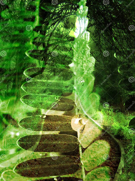 Hojas del extracto foto de archivo. Imagen de macro, hoja - 4919348