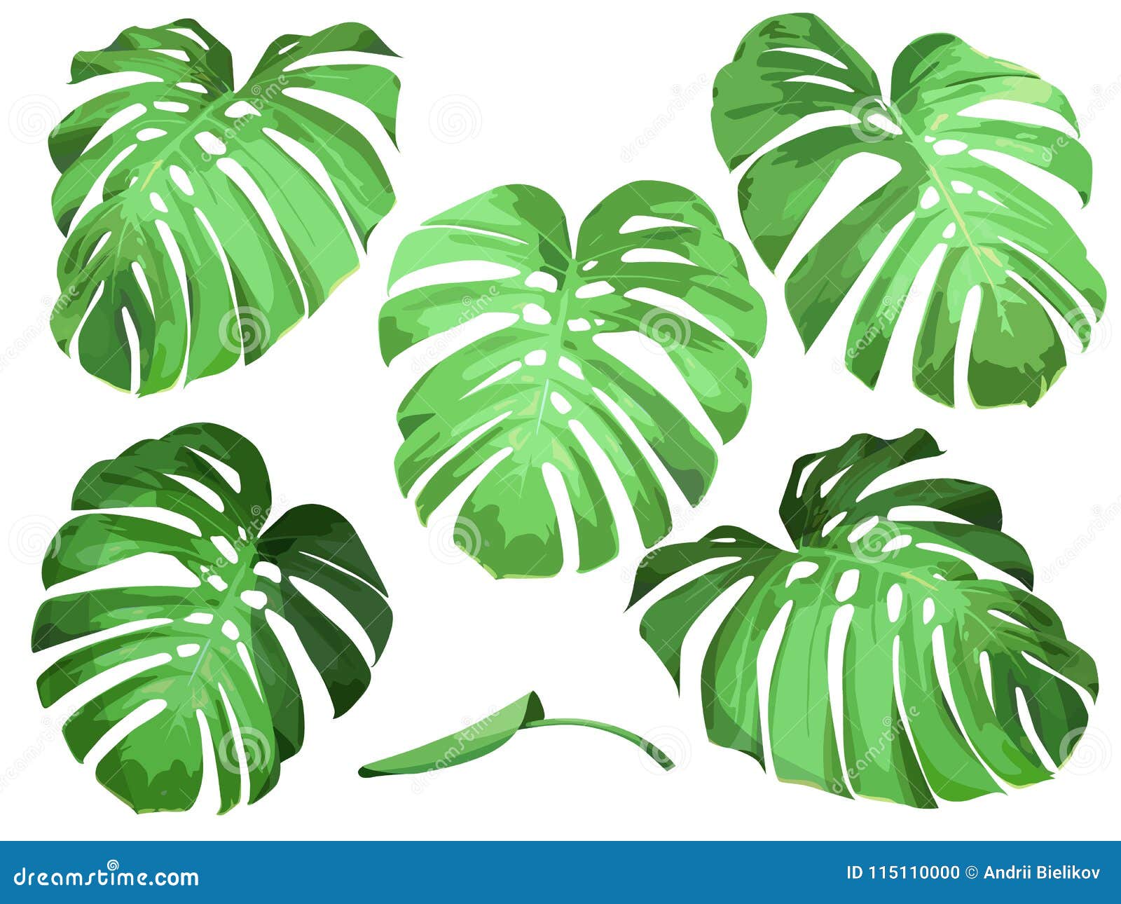 Hojas Del Vector Del Monstera Ilustración del Vector - Ilustración de ...