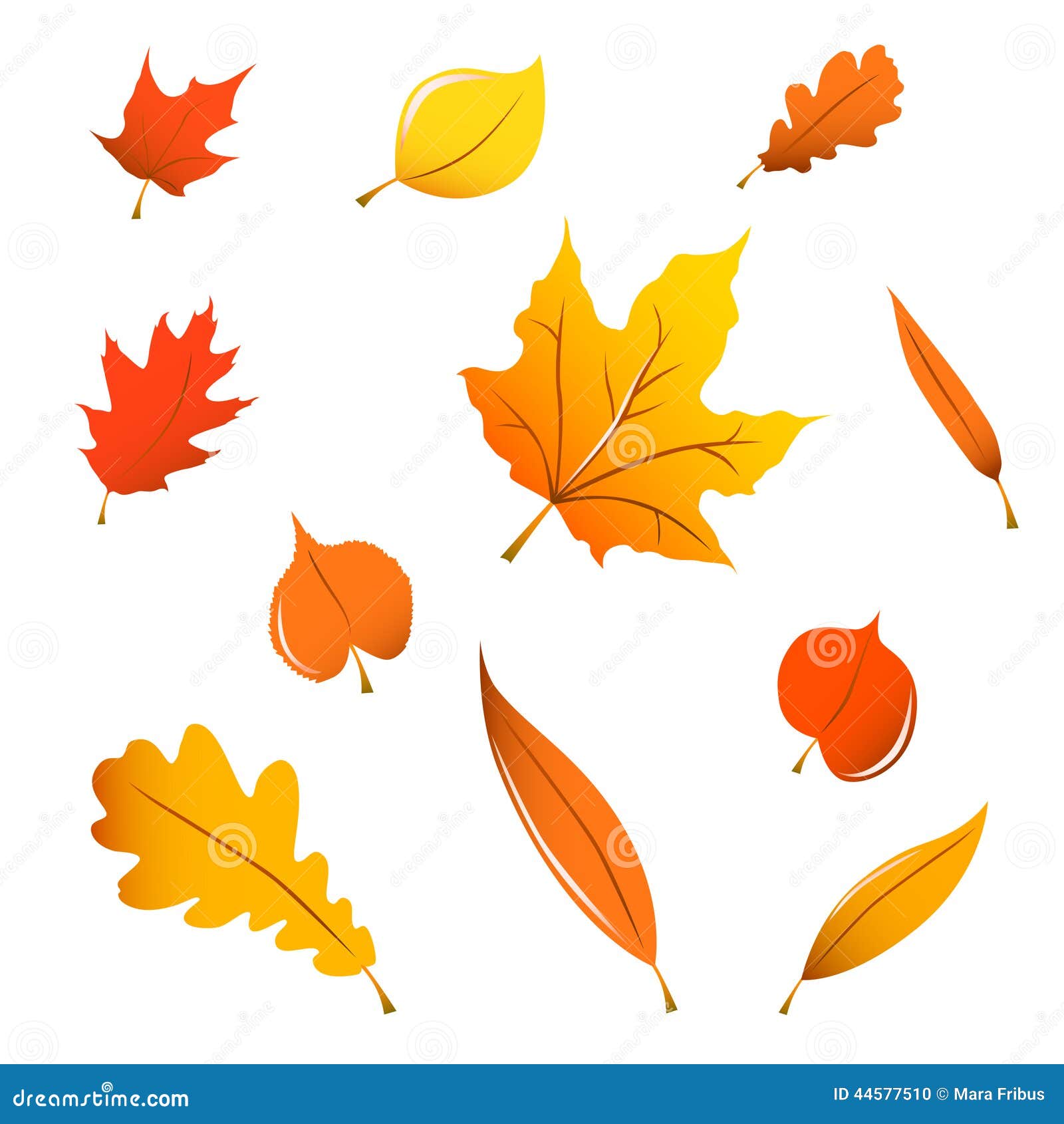 Hojas diversas de la caída ilustración del vector. Ilustración de vena ...