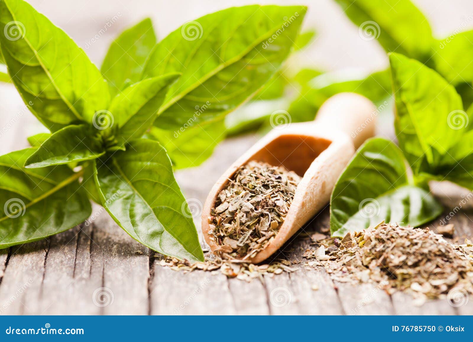 Hojas secas de la albahaca foto de archivo. Imagen de hoja - 76785750