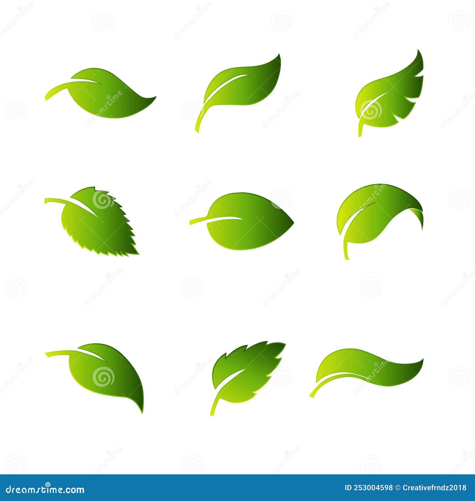 Hojas Verdes Conjunto Arte Vectorial Ilustración del Vector ...