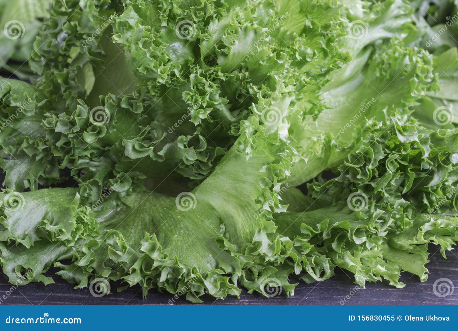 Hojas Verdes De Lechuga Rizada, De Cierre Imagen de archivo - Imagen de ...