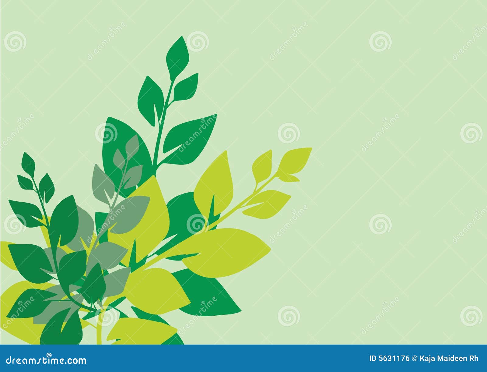 Hojas verdes - vector ilustración del vector. Ilustración de hermoso ...