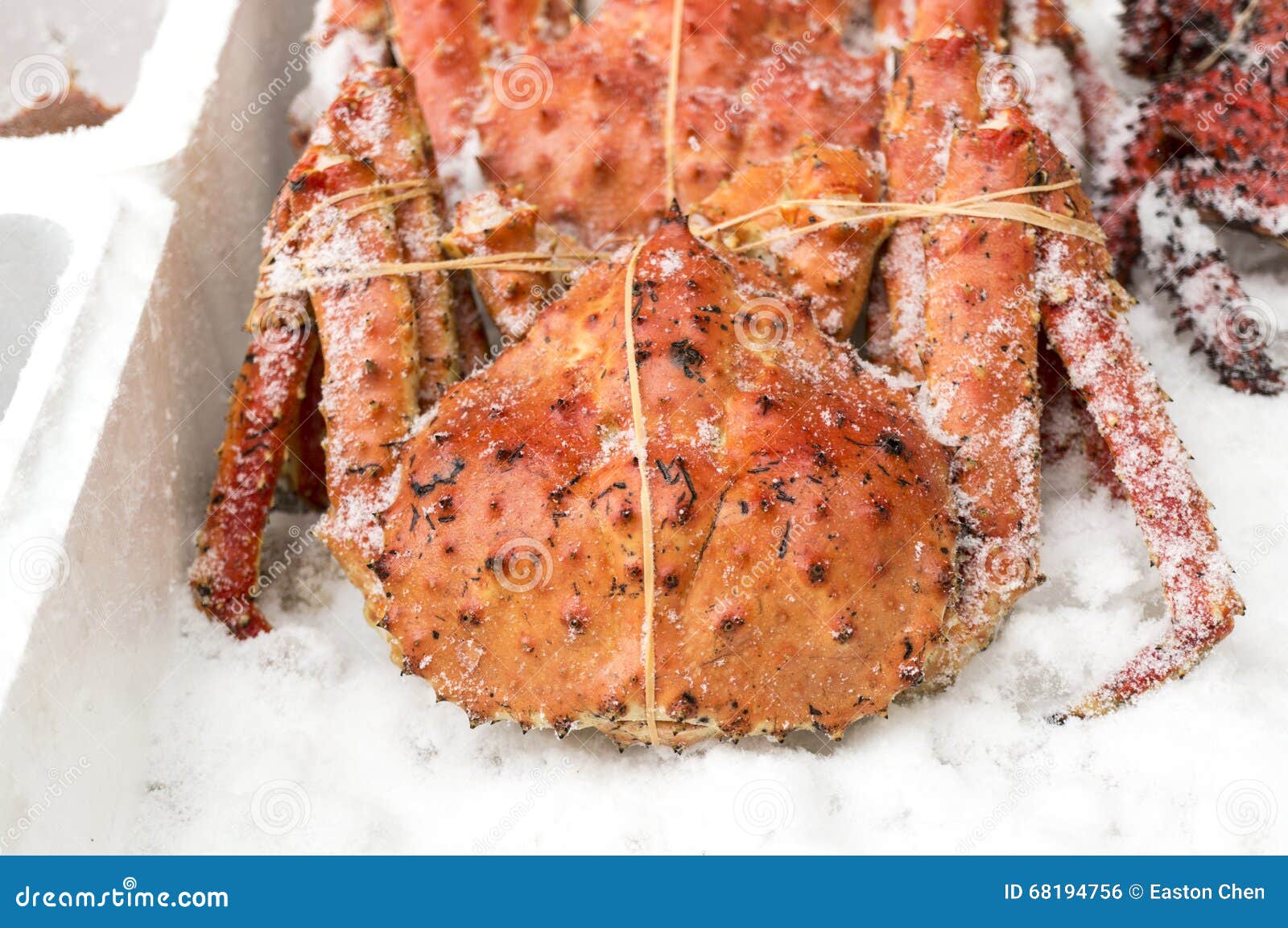 Hokkaido long legged crab stock photo. Image of health - 68194756