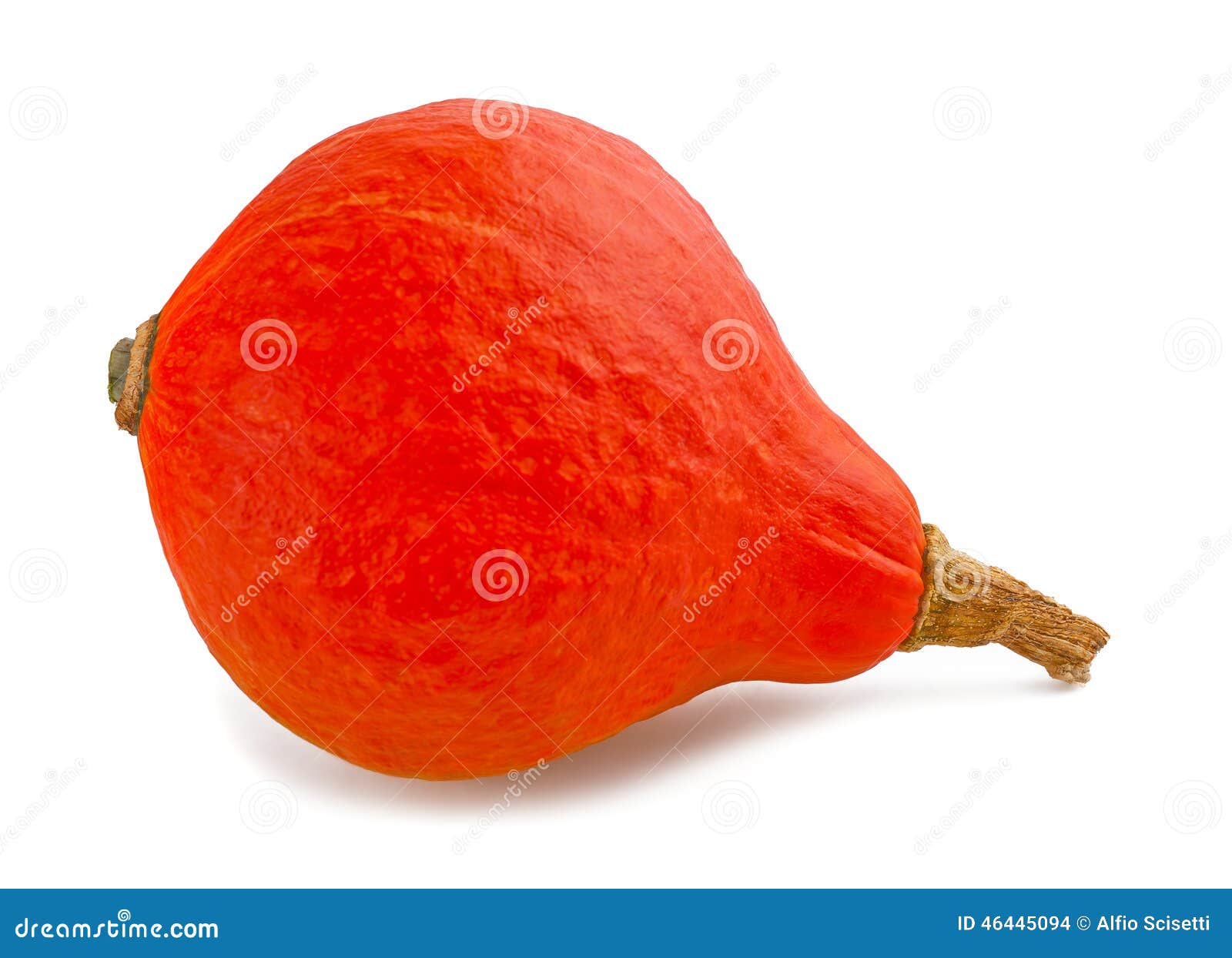 Hokkaido pumpkin stock photo. Image of eating, kuri, season - 46445094