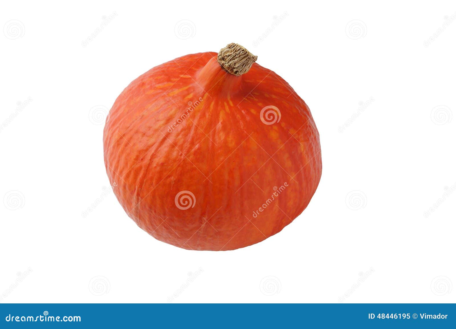 Hokkaido pumpkin stock image. Image of organic, hokkaido - 48446195