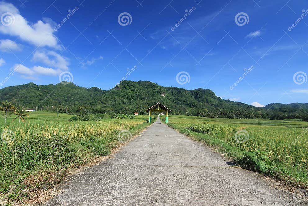 Hola azul imagen de archivo. Imagen de campos, agradable - 105383683