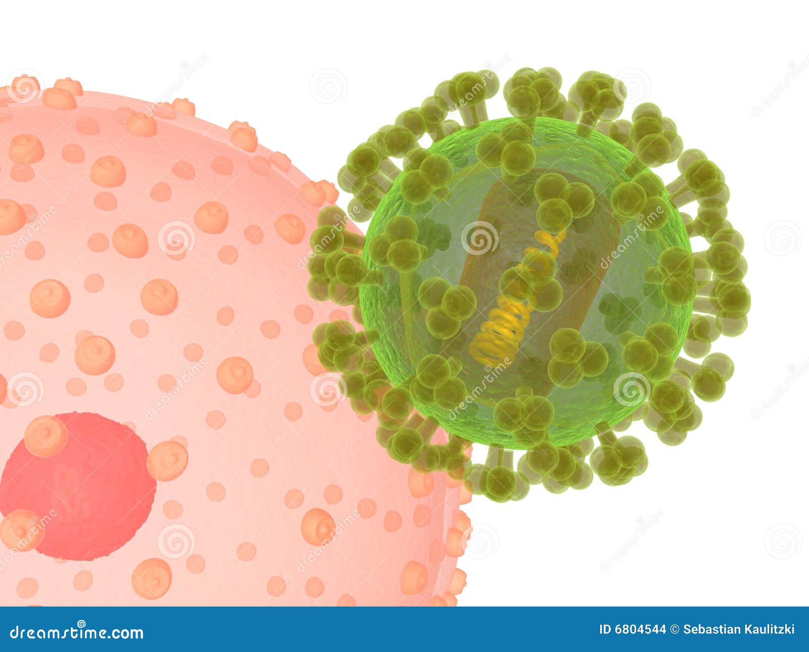 Hola Célula Infectada Virus Stock de ilustración - Ilustración de ...