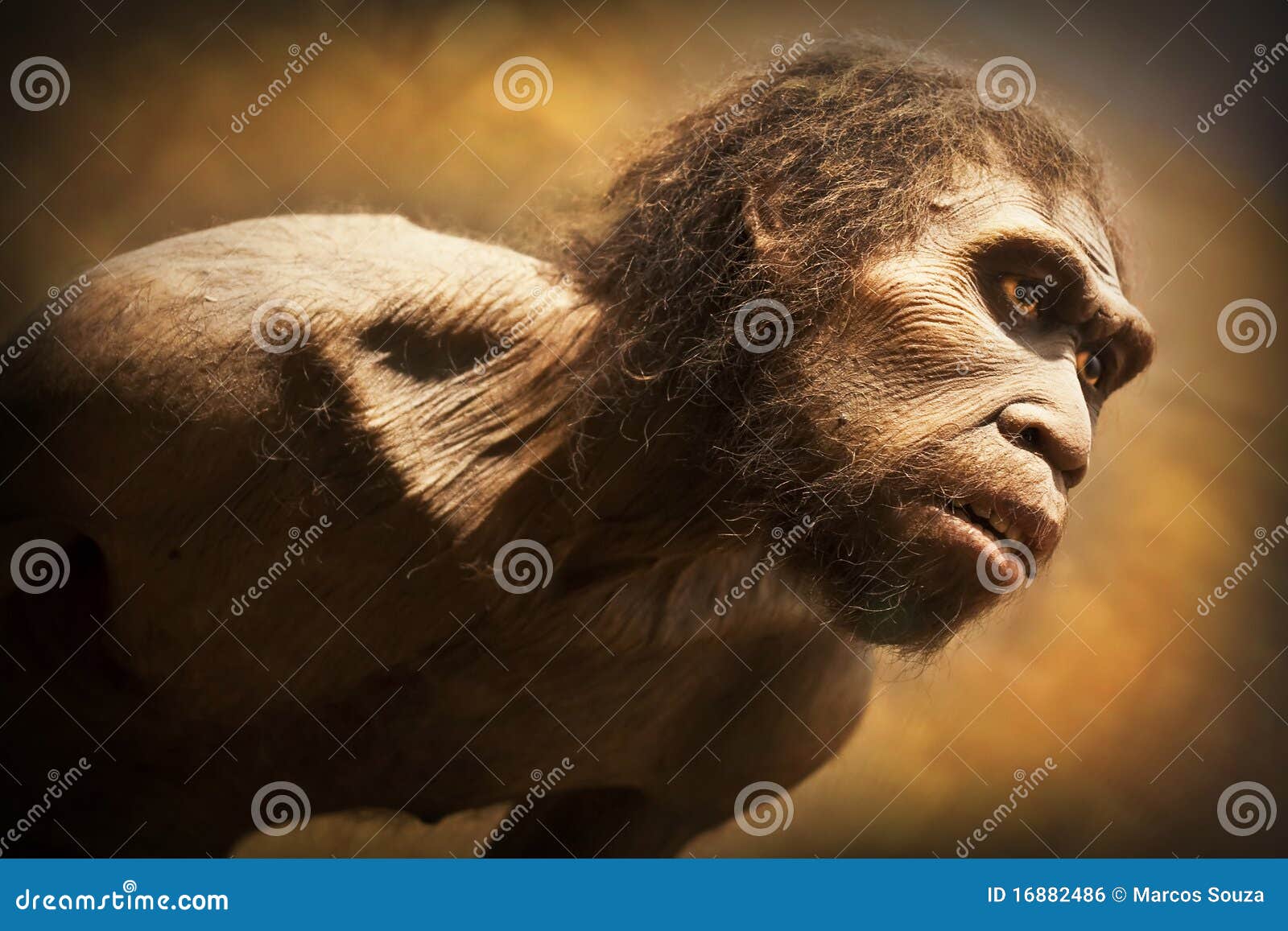 Holbewoner redactionele foto. Image of uitgestorven, jura - 16882486