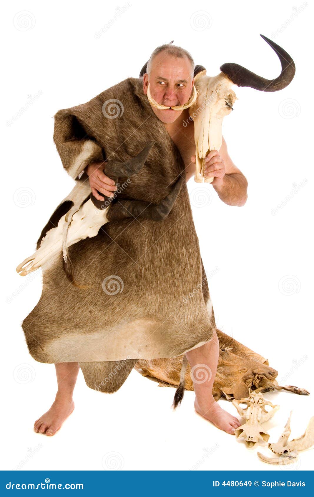 Holbewoner stock afbeelding. Image of dier, slagtanden - 4480649