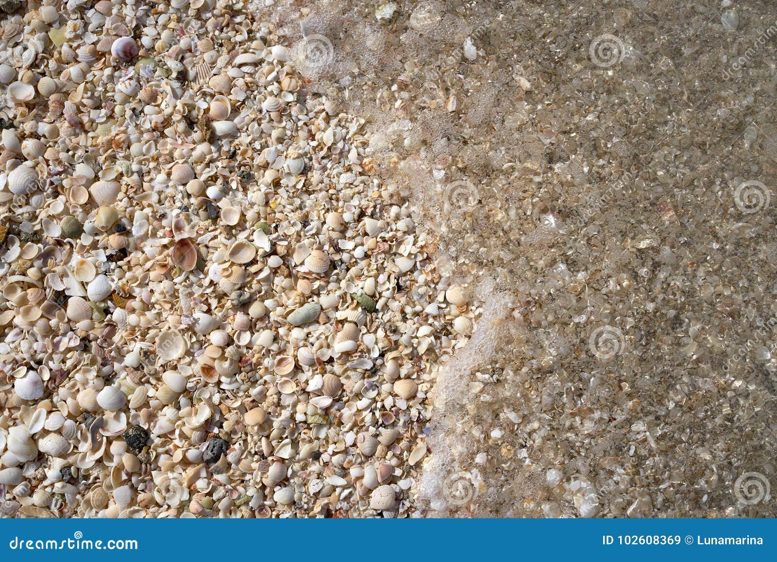 Sea Shells And Sand Wallpaper. Summer Border Top View On Beige With ...