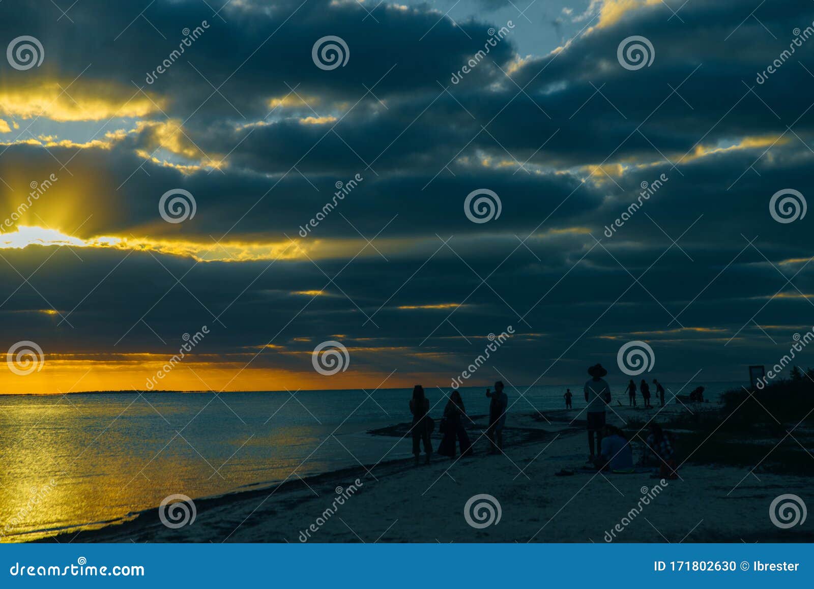 Holbox Island Sunset Beach Palm Tree Tropical in Mexico Stock Photo ...