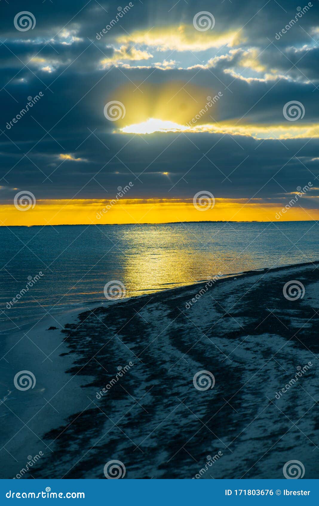 Holbox Island Sunset Beach Palm Tree Tropical in Mexico Stock Photo ...