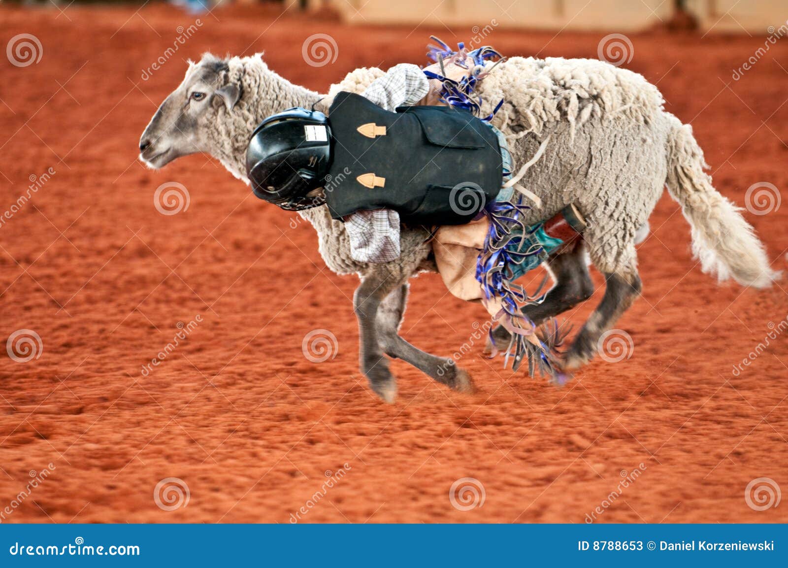 Hold it baby stock image. Image of competing, competition - 8788653