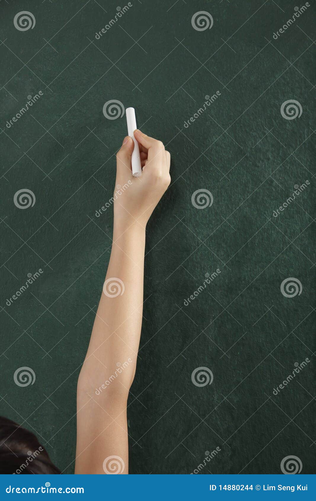 Hold chalk stock photo. Image of black, college, class - 14880244