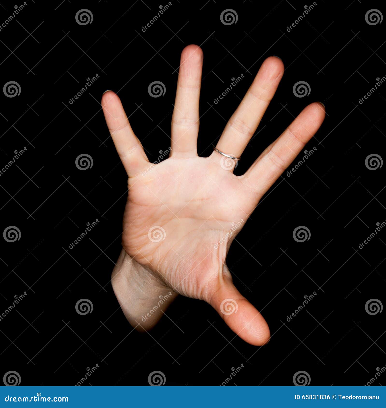 Hold hand gesture stock photo. Image of gesture, body - 65831836