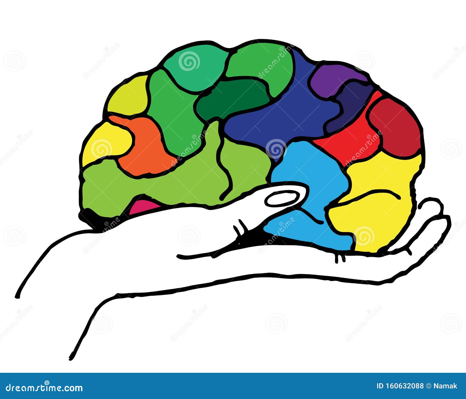 Hold Multi-colored Brain in Hand, Drawing on a White Background ...