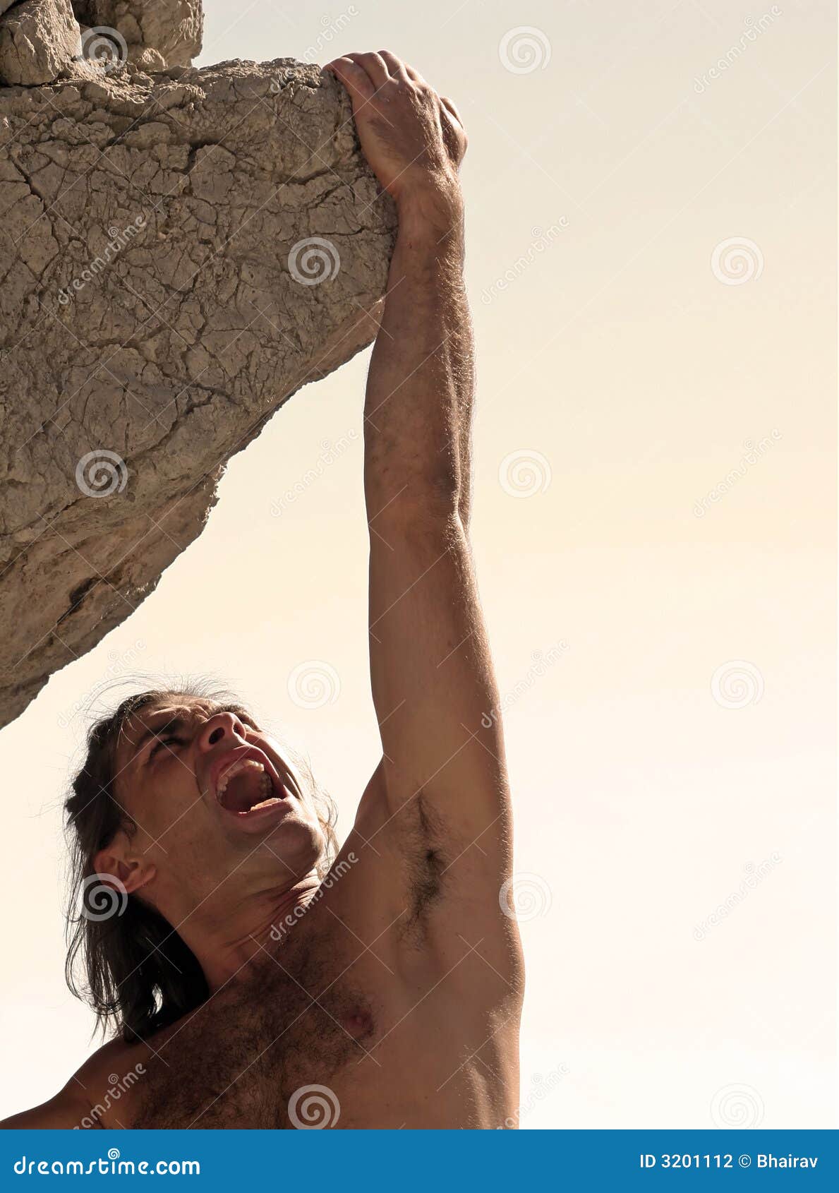 Hold out! stock photo. Image of emotion, risk, expression - 3201112