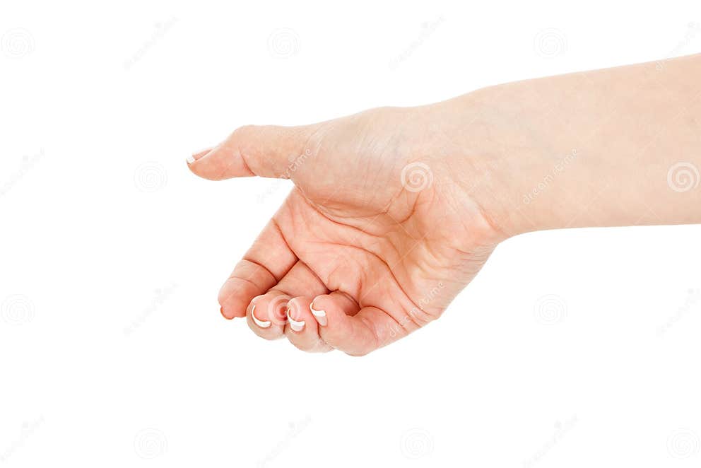 Hold palm stock photo. Image of hand, adult, gesturing - 19661714