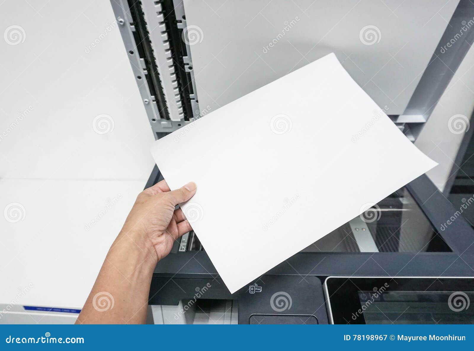 Hold Paper for Printing Document Stock Image - Image of environment ...