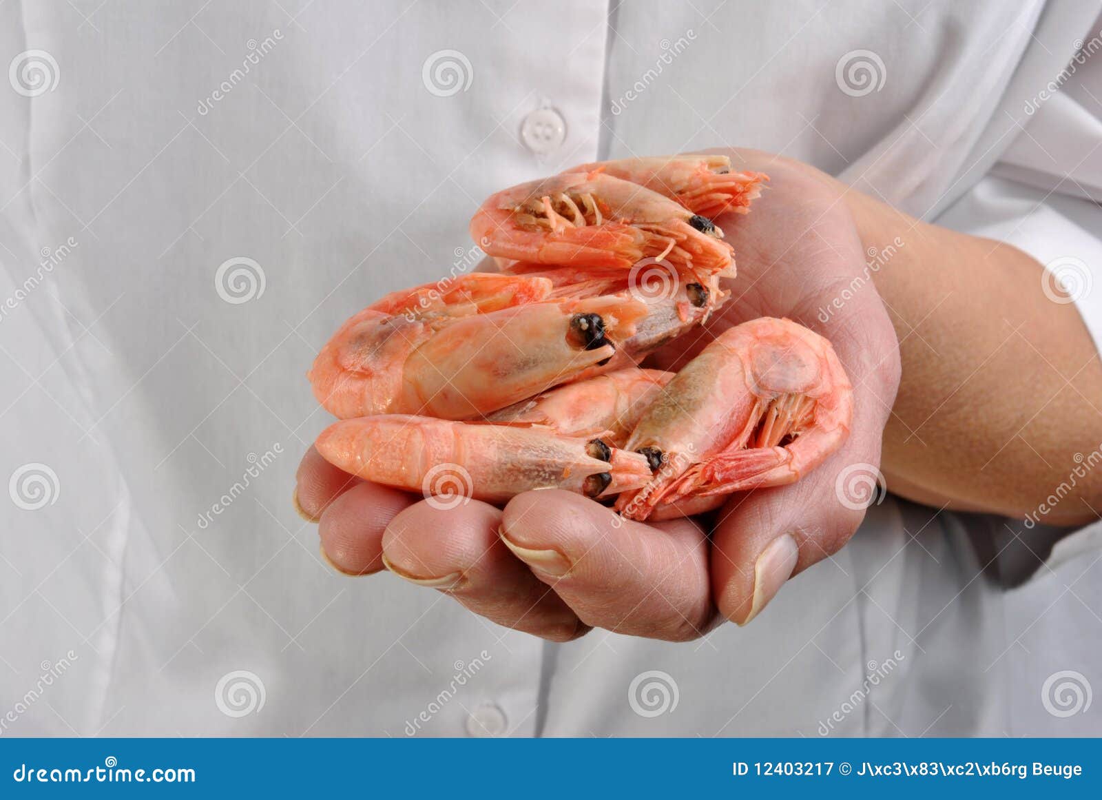 Hold and Prepare Some Prawns To Eat Stock Image - Image of fresh, roll ...