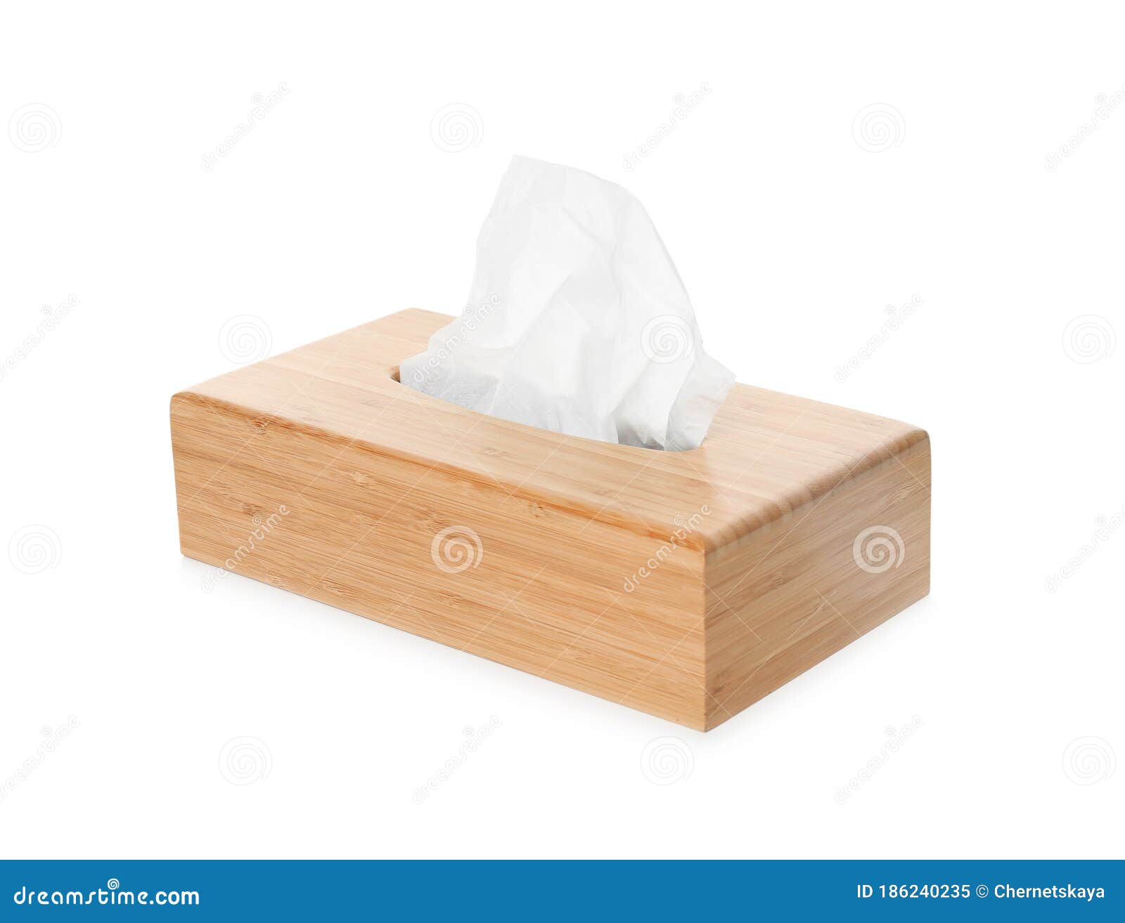 Holder with Paper Tissues Isolated Stock Image - Image of body ...