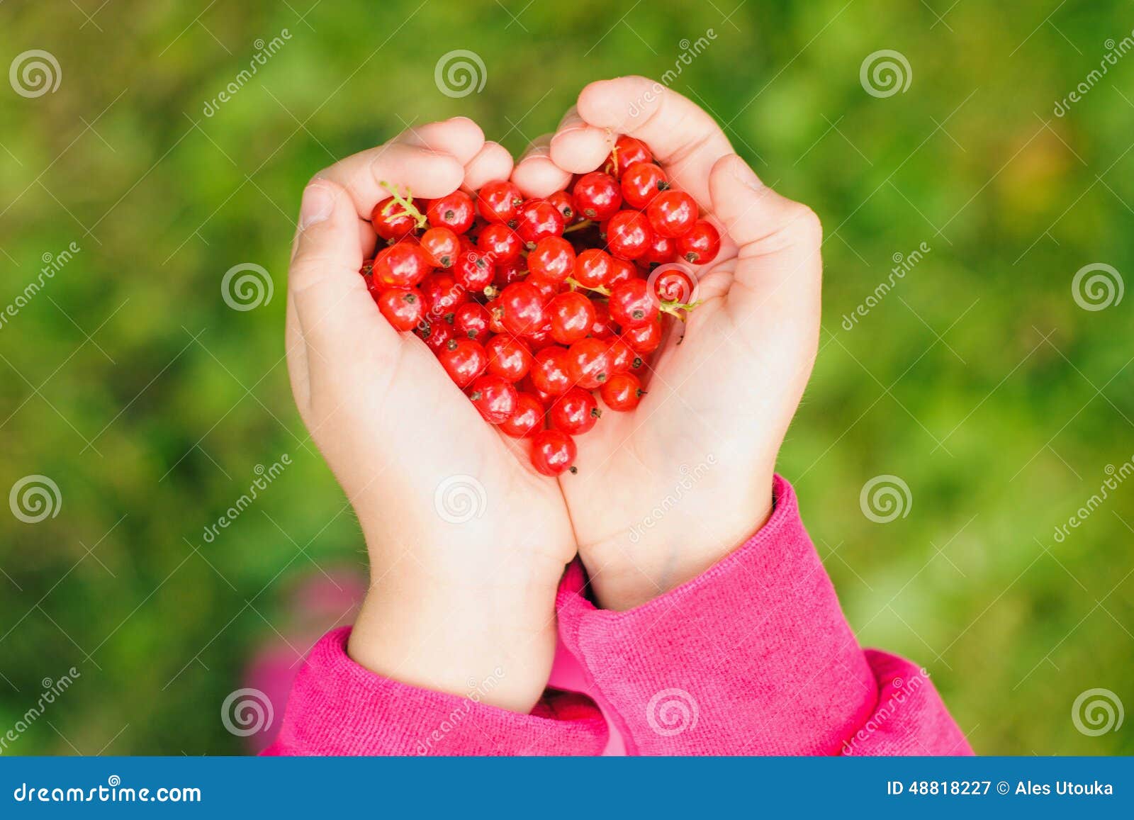 Holding Berries in Hands. Love Stock Image - Image of health, hands ...