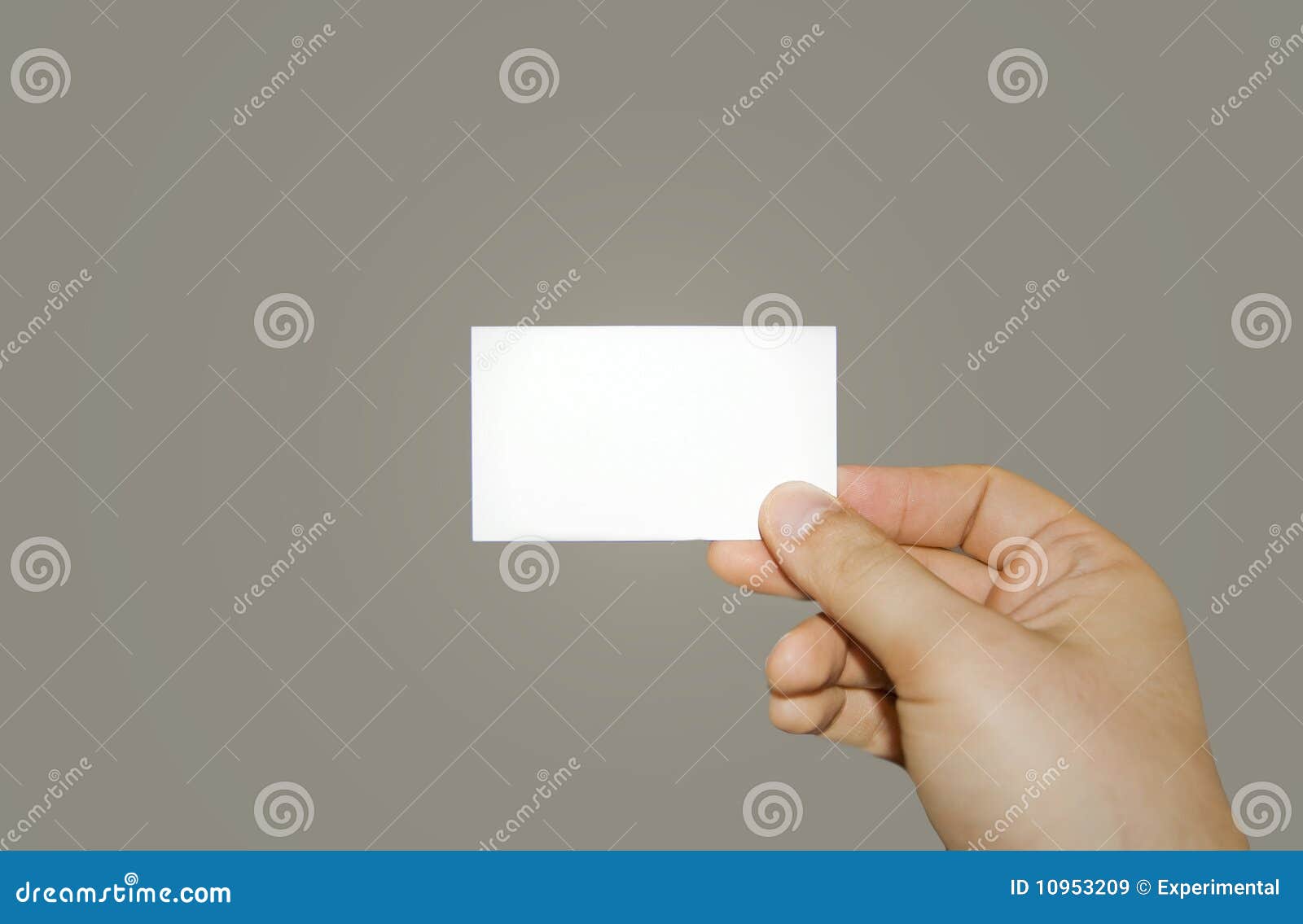 Holding a business card stock image. Image of give, businesscard - 10953209