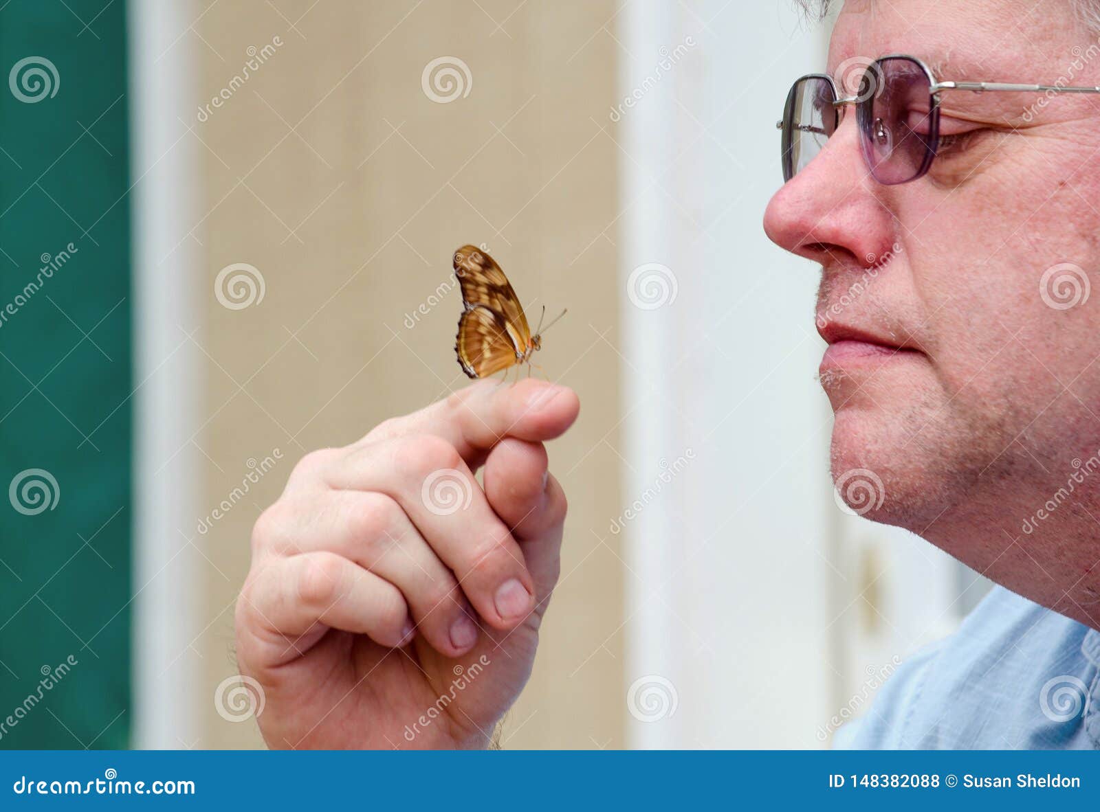 Older Man Holding a Butterfly Stock Photo - Image of hand, beautiful ...