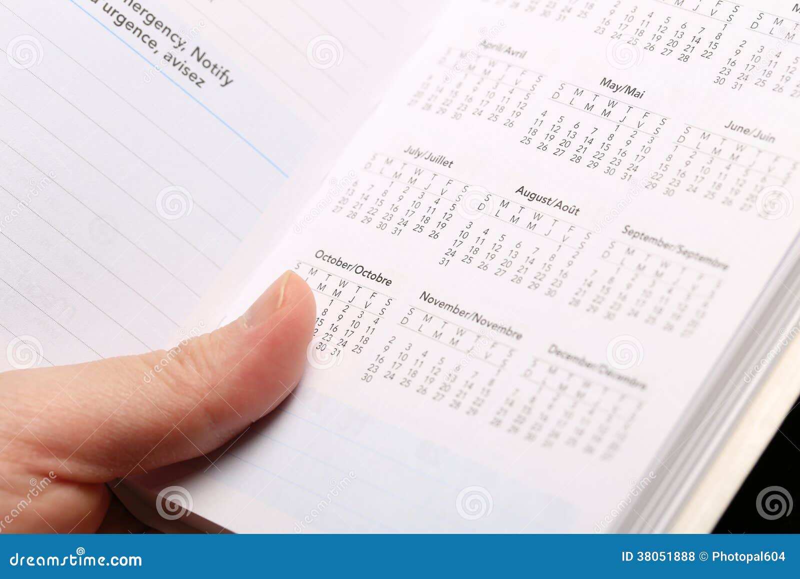 Holding calendar book stock photo. Image of planner, conceptual - 38051888