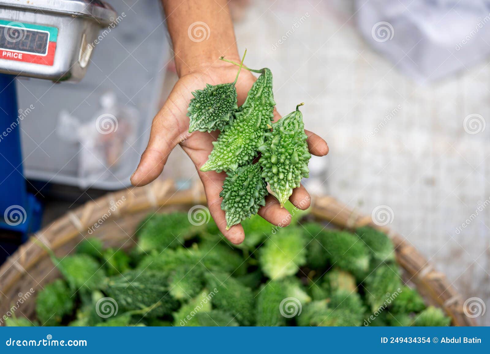 Holding Corolla vegetables stock photo. Image of shrub - 249434354