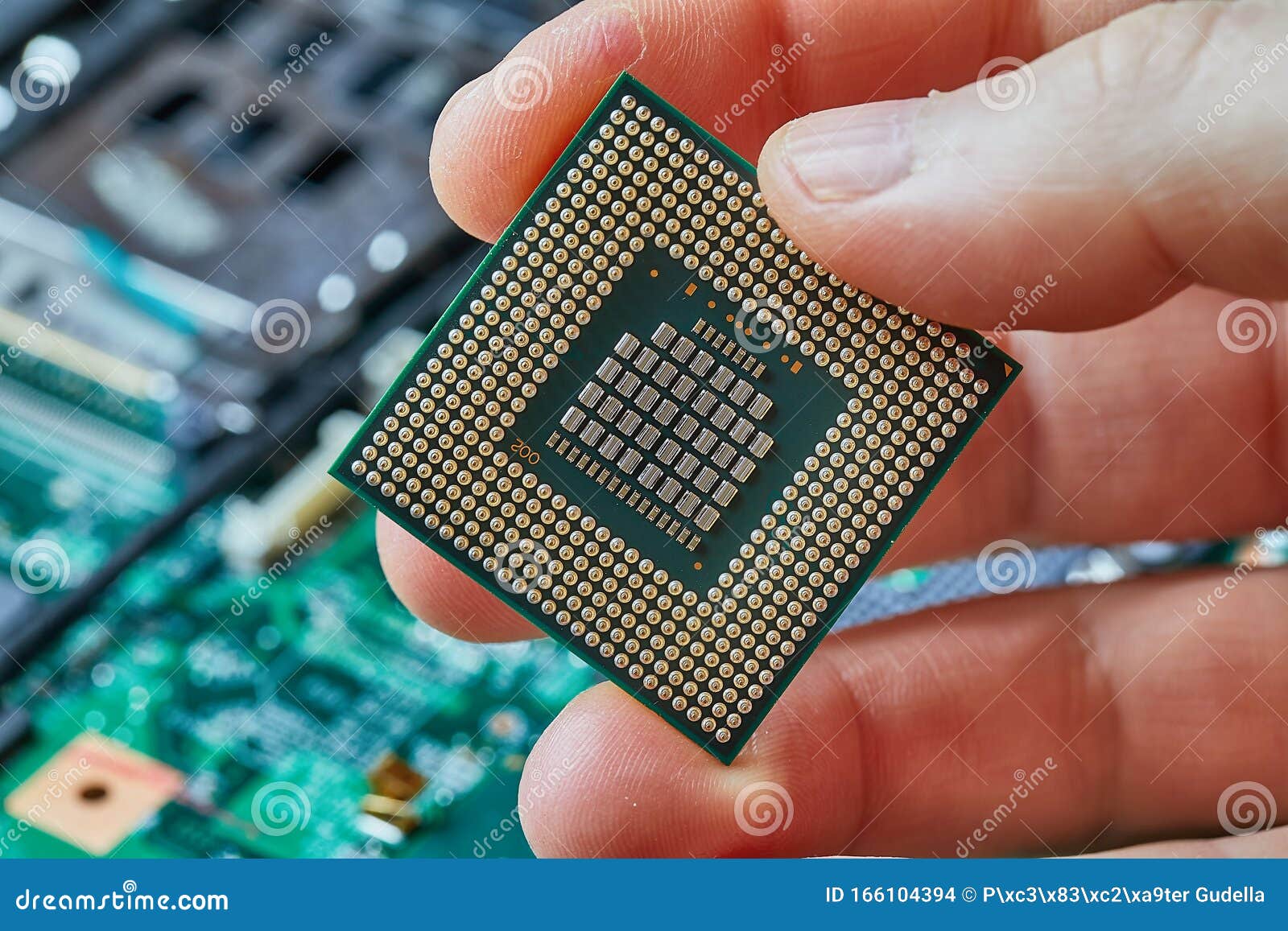 Holding a CPU stock photo. Image of circuit, equipment - 166104394