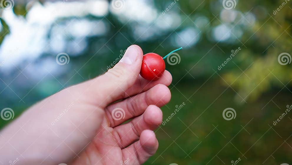 Holding Crackling Balls. Small Ground Firecrackers. Fireworks Stock ...
