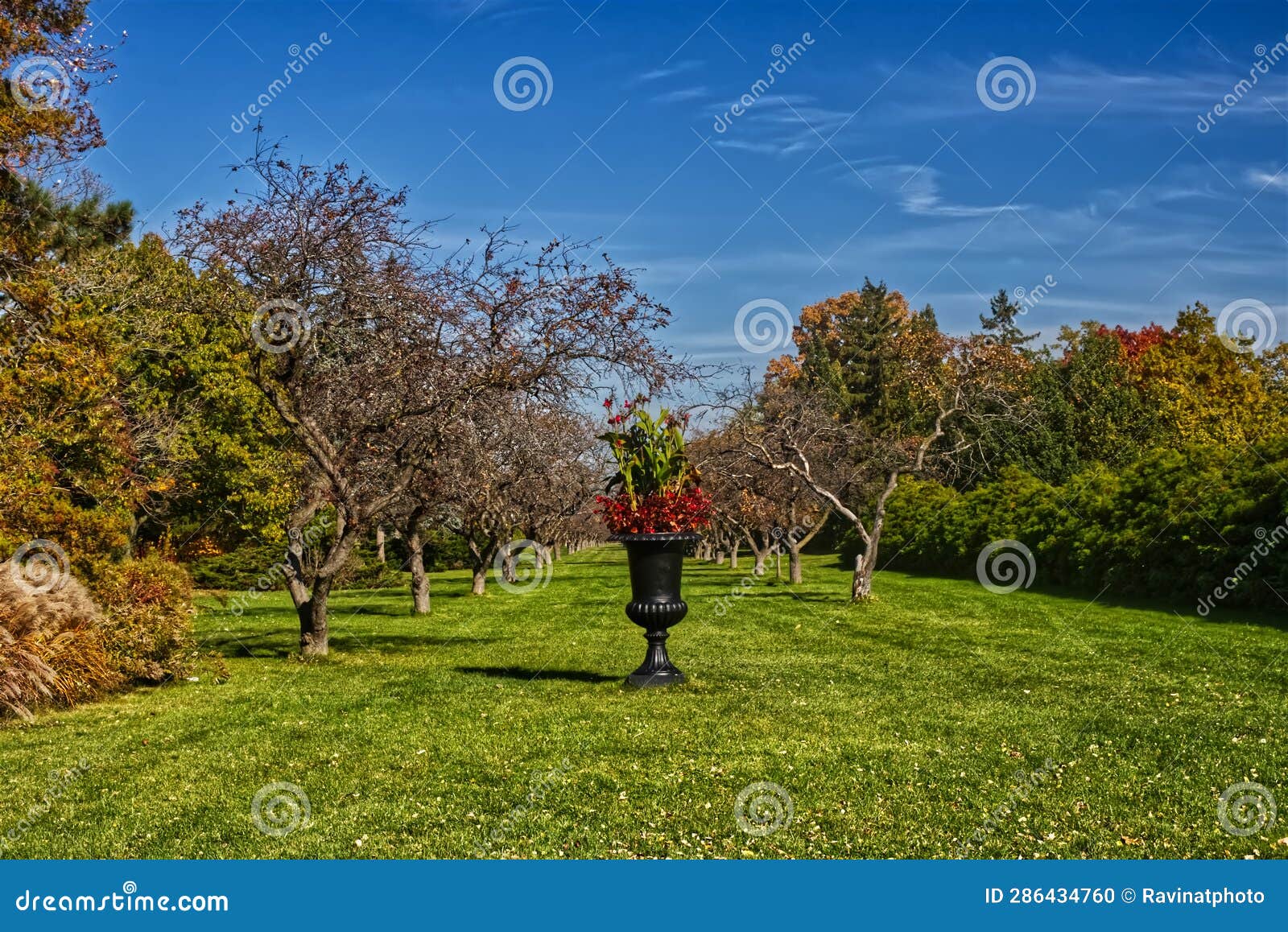 Holding the Cup for the Perfect Lining of the Trees , Niagara Falls, on ...