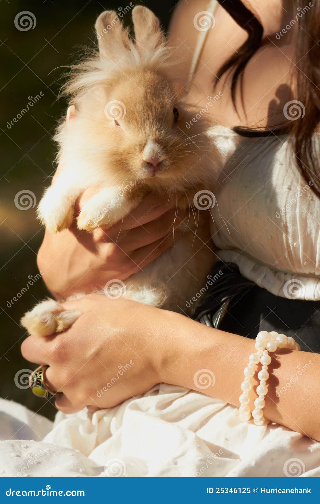 Holding Cute Decorative Bunny Sitting Stock Image - Image of baby, girl ...