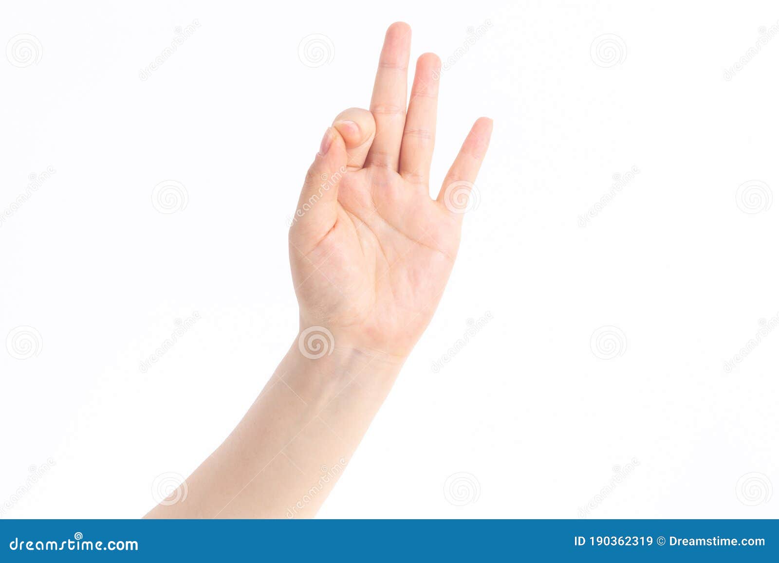 Holding Dramatic Gesture on the White Background Stock Image - Image of ...