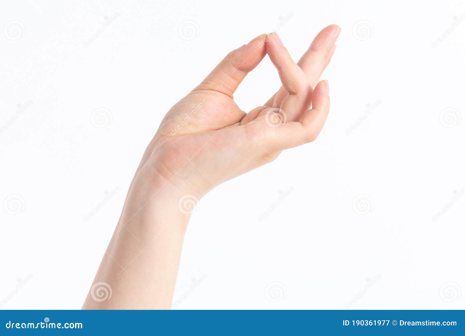 Holding Dramatic Gesture on the White Background Stock Image - Image of ...