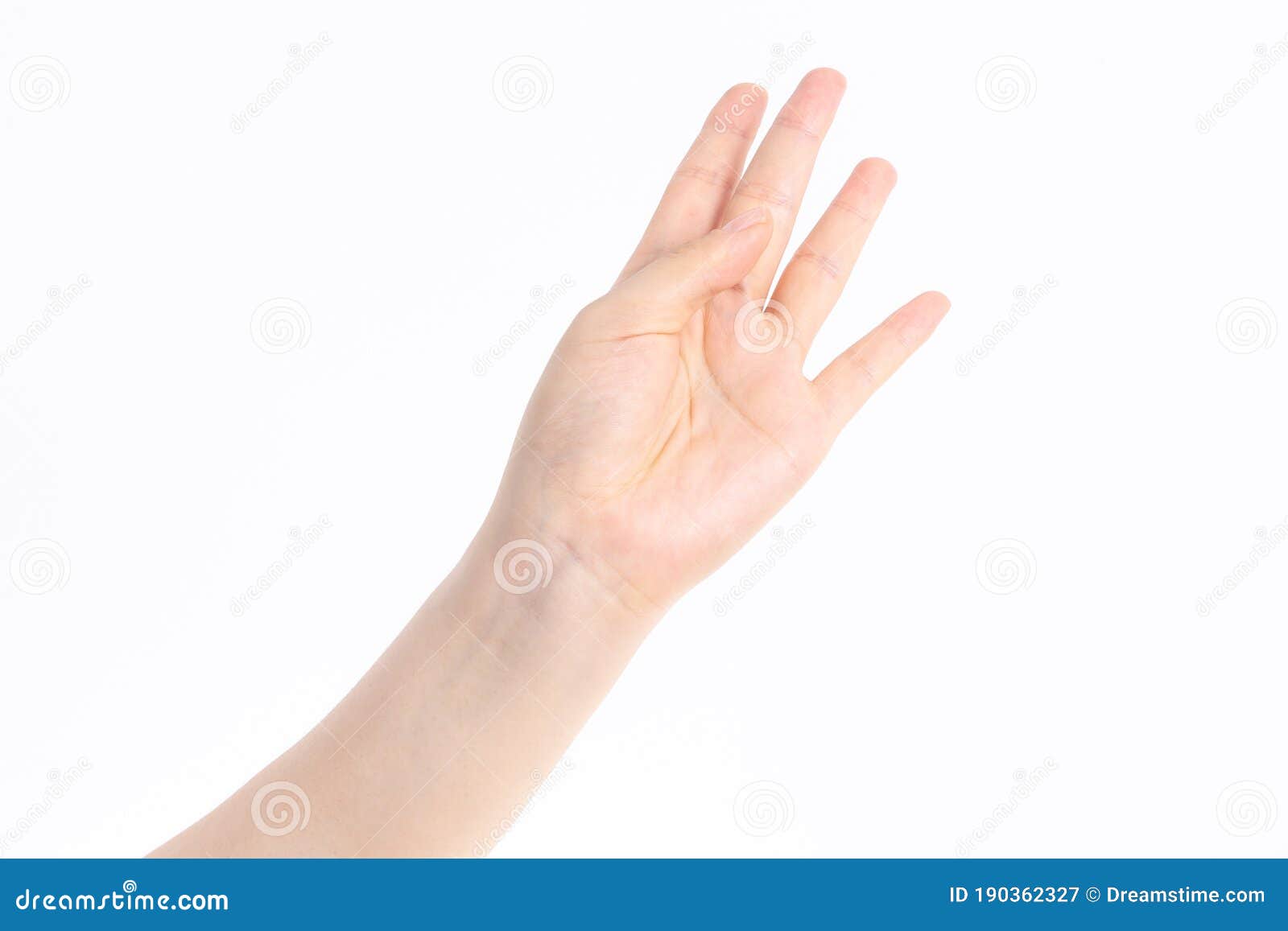 Holding Dramatic Gesture on the White Background Stock Image - Image of ...