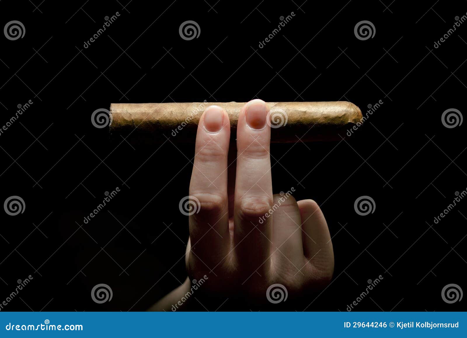 Holding a Exclusive Cigar stock photo. Image of give - 29644246